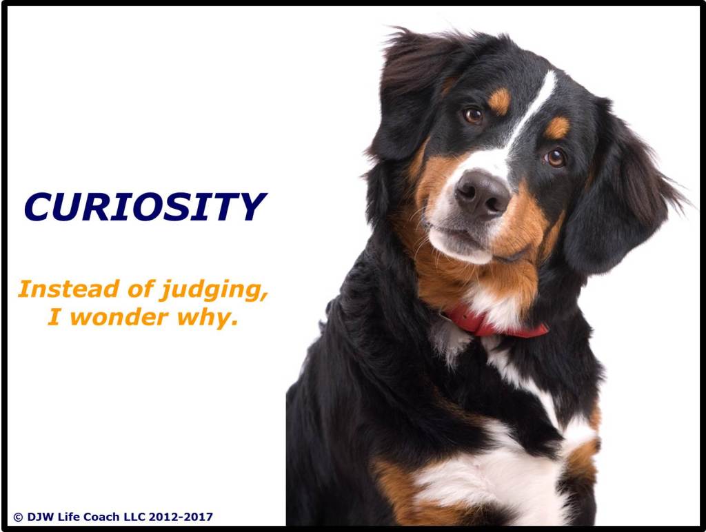 The Liberation Found in Going with the Flow | Choose Your Energy ...